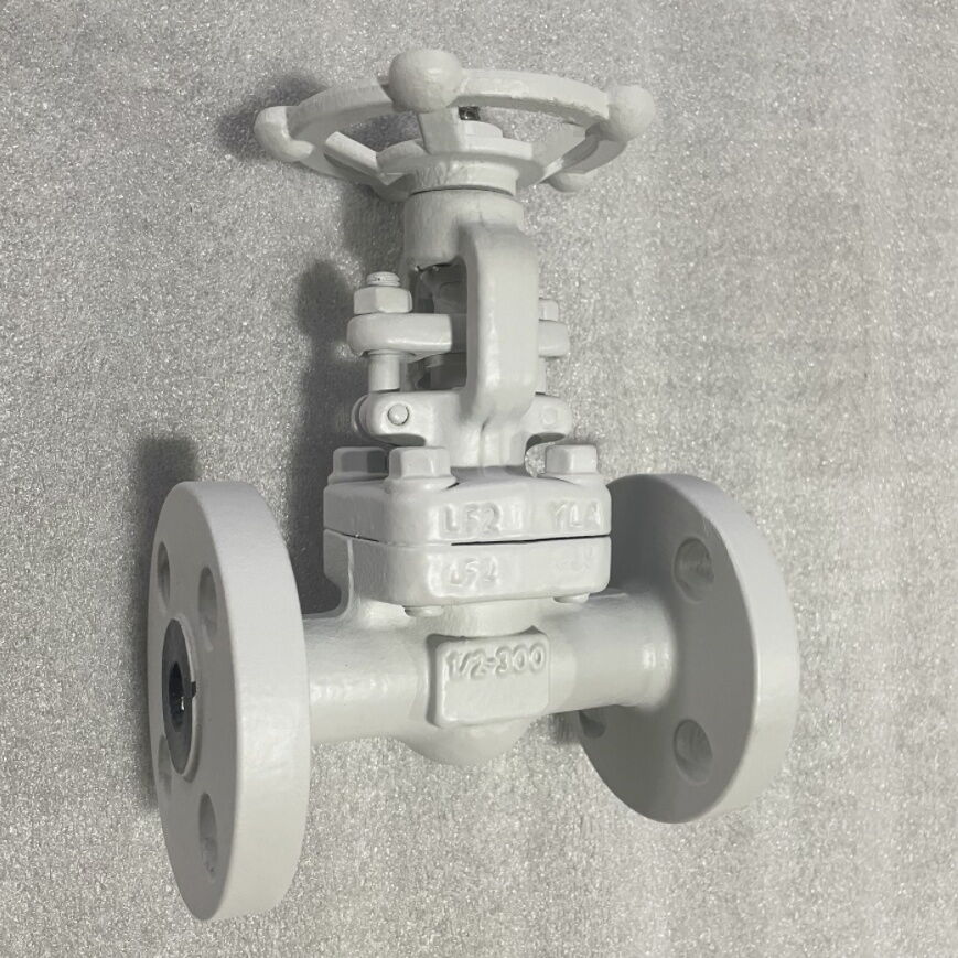 Low Temperature Gate Valve, ASTM A350 LF2, NPS 1/2 IN, CL300 - Vervo