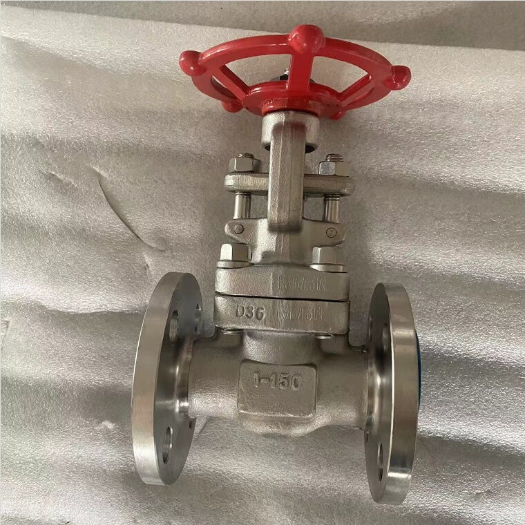 Stainless Steel Rising Stem Gate Valve, API 602, 150 LB, 1IN - Vervo