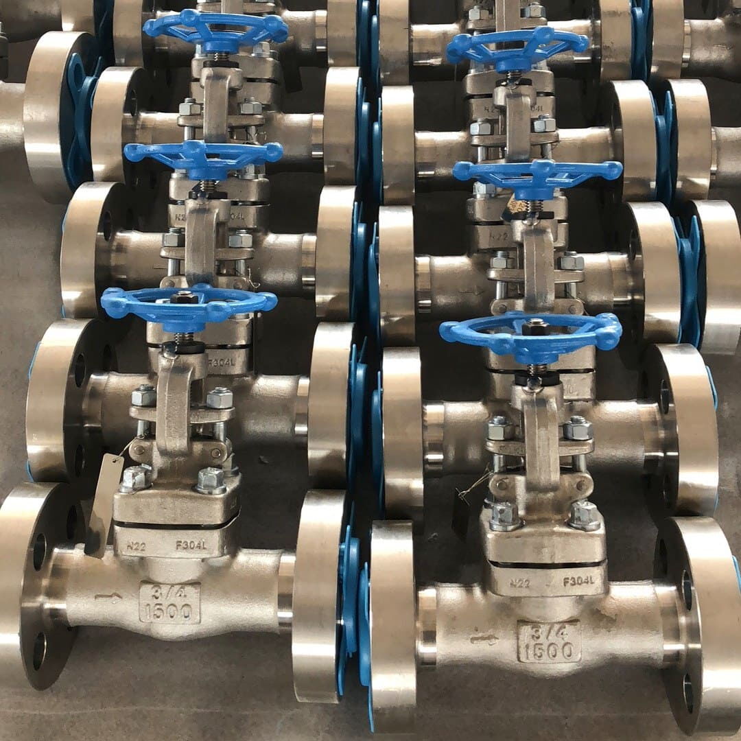 ASTM A182 F304L Globe Valves, API 602, 3/4 Inch, CL 1500 LB - Vervo