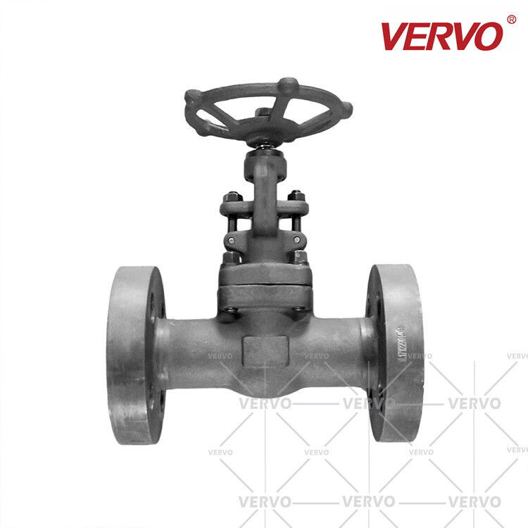 Needle Disc Globe Valve, API 602, ASTM A105N, 1 Inch, 900 LB - Vervo